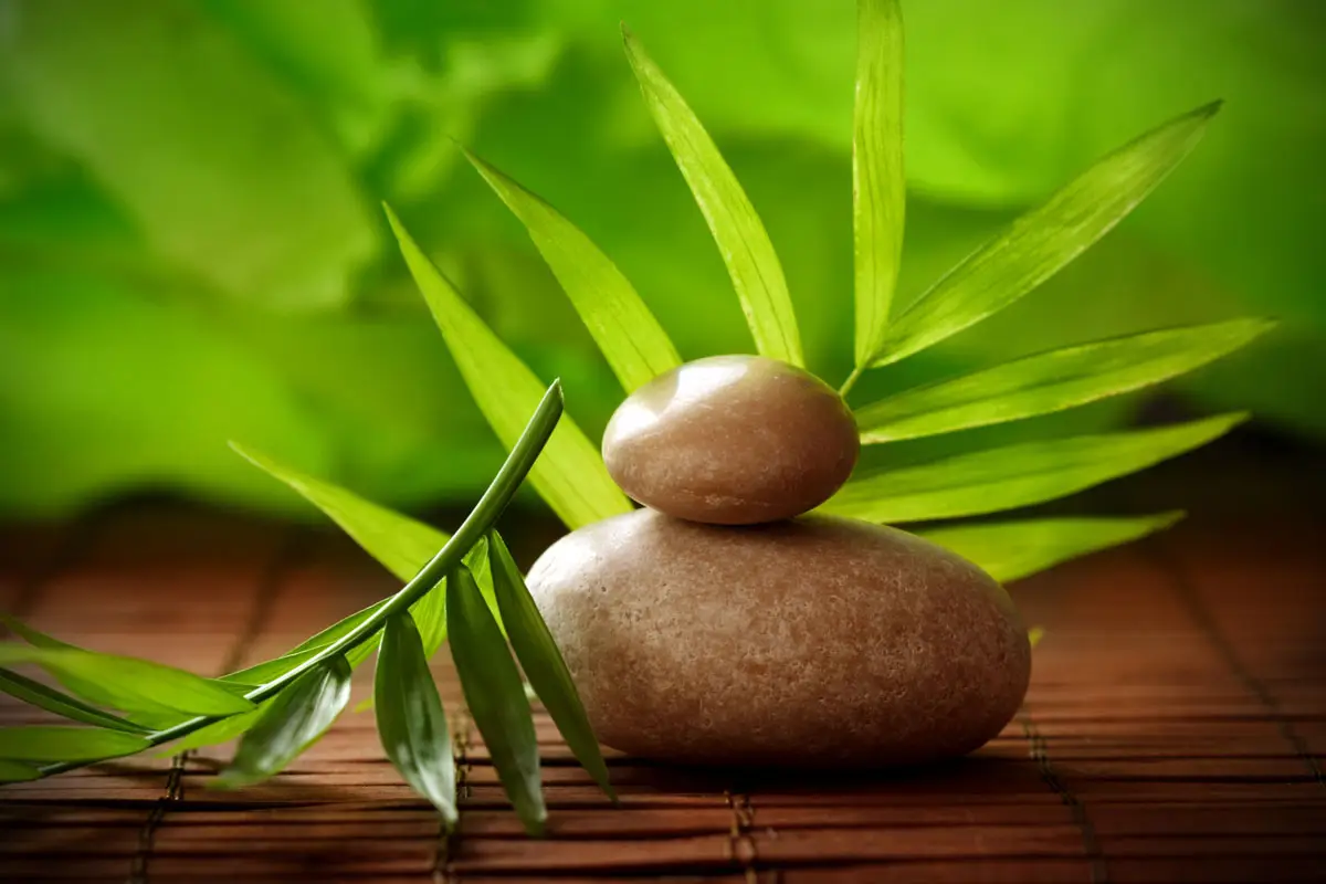 4 Ways Acupuncture Supports Women's Health » Kate Walshe Acupuncture ...